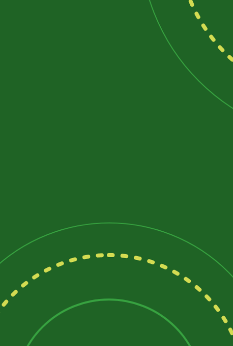 Micrurus limbatus | Redtox