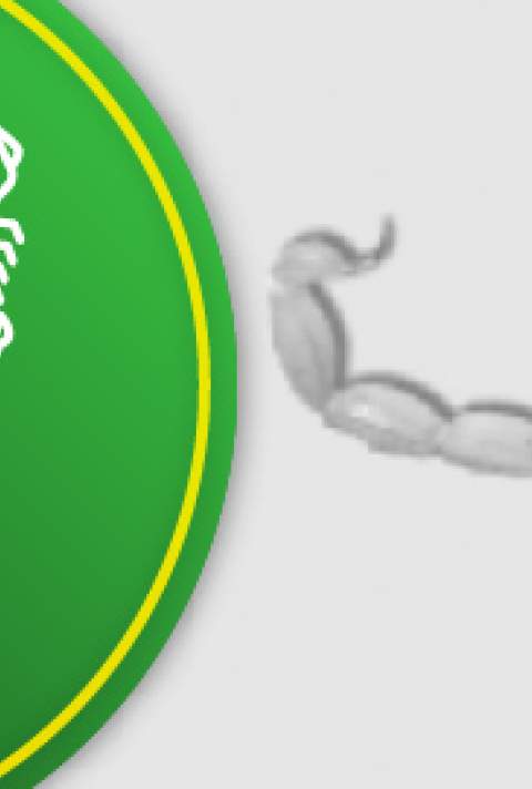 Práctica Médica EfectivaAlacranismo (T63.2, X22) | Redtox