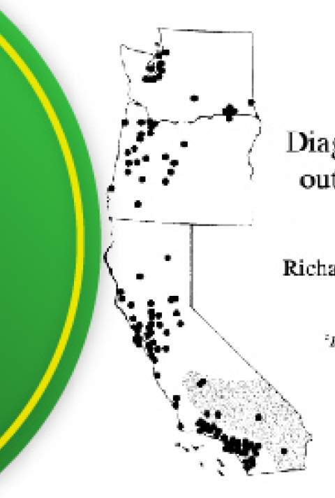Diagnoses of brown recluse spider bites (loxoscelism) greatly outnumber ...