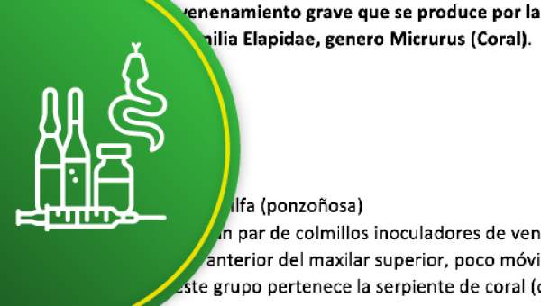 Blog - antivenenos | Redtox