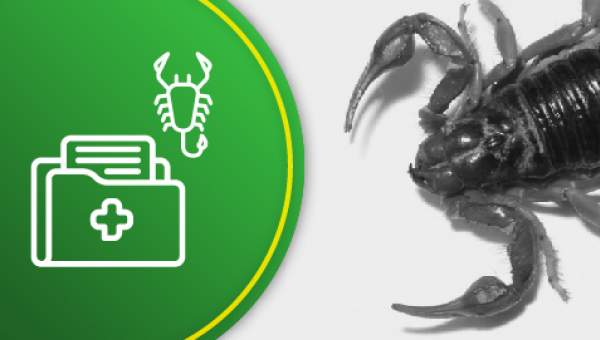 Alacranismo severo causante de parálisis flácida aguda. Reporte de caso ...