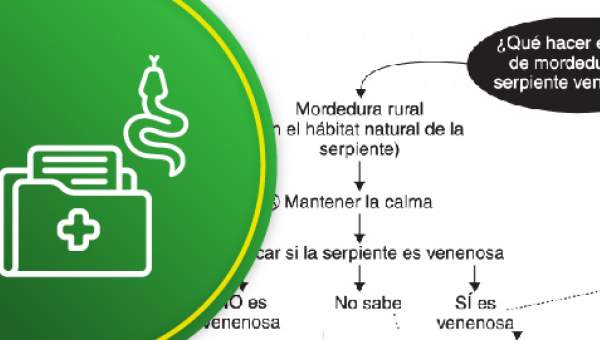 Venenos de serpientes y moleculas antiveneno | Redtox