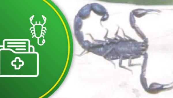 Alacranismo severo causante de parálisis flácida aguda. Reporte de caso ...