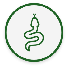 Redtox App ¡Descárgala ahora!