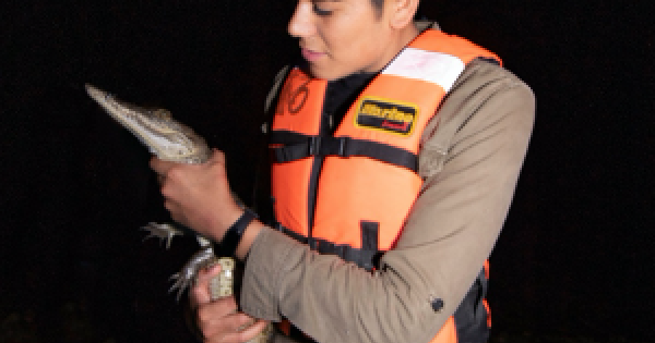 Biól. Omar Rangel Torres | Redtox