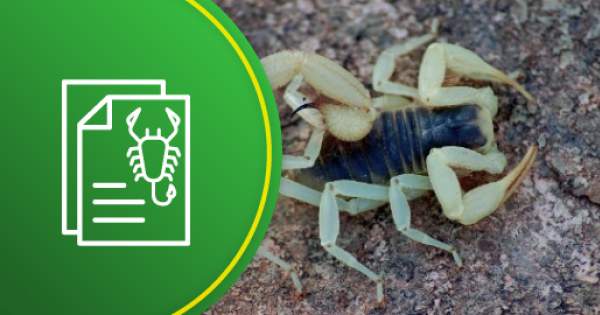 Scorpions from Mexico: From Species Diversity to Venom Complexity | Redtox